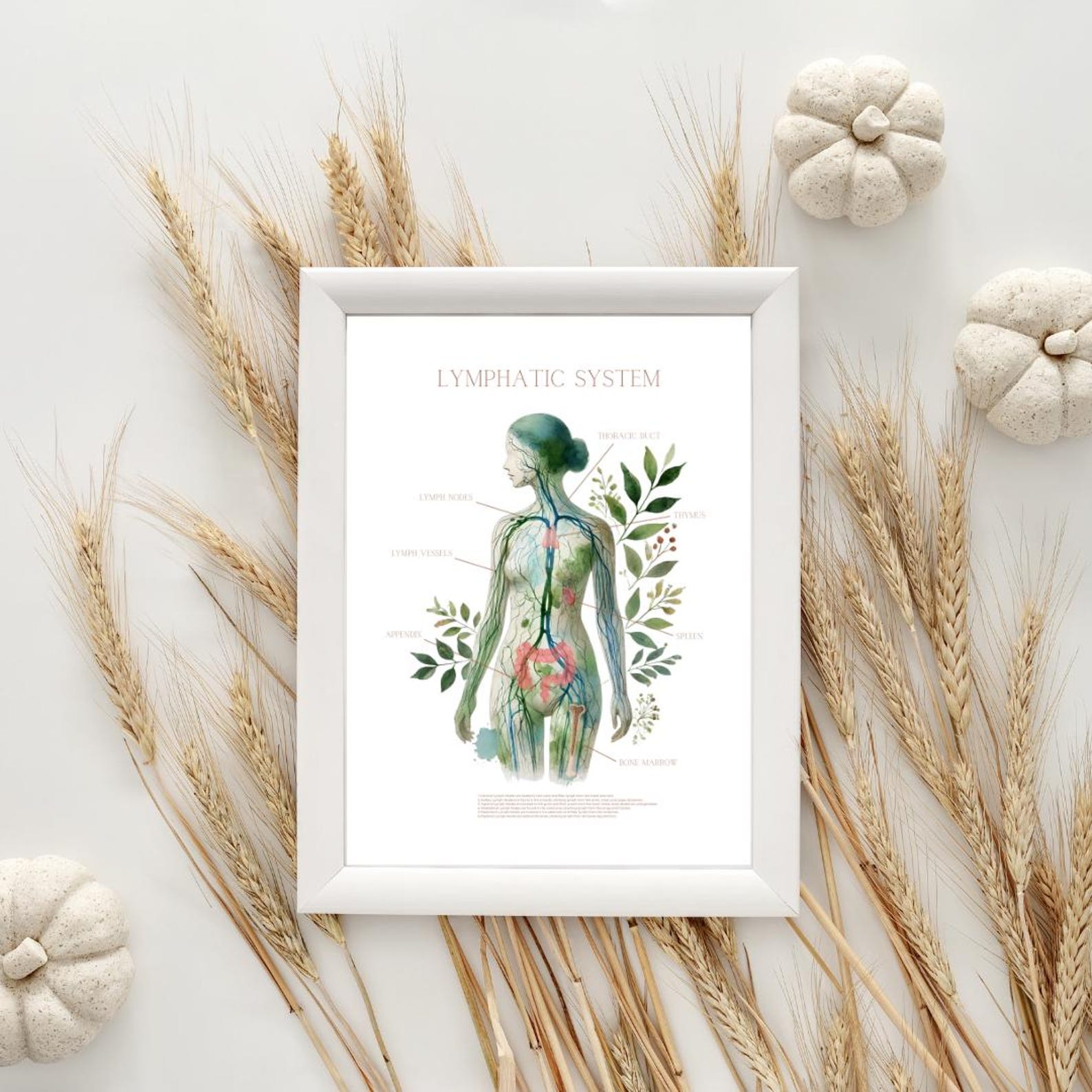 Lymphatic System Art | Lymph Nodes Anatomy Art | Doctor Gift ...
