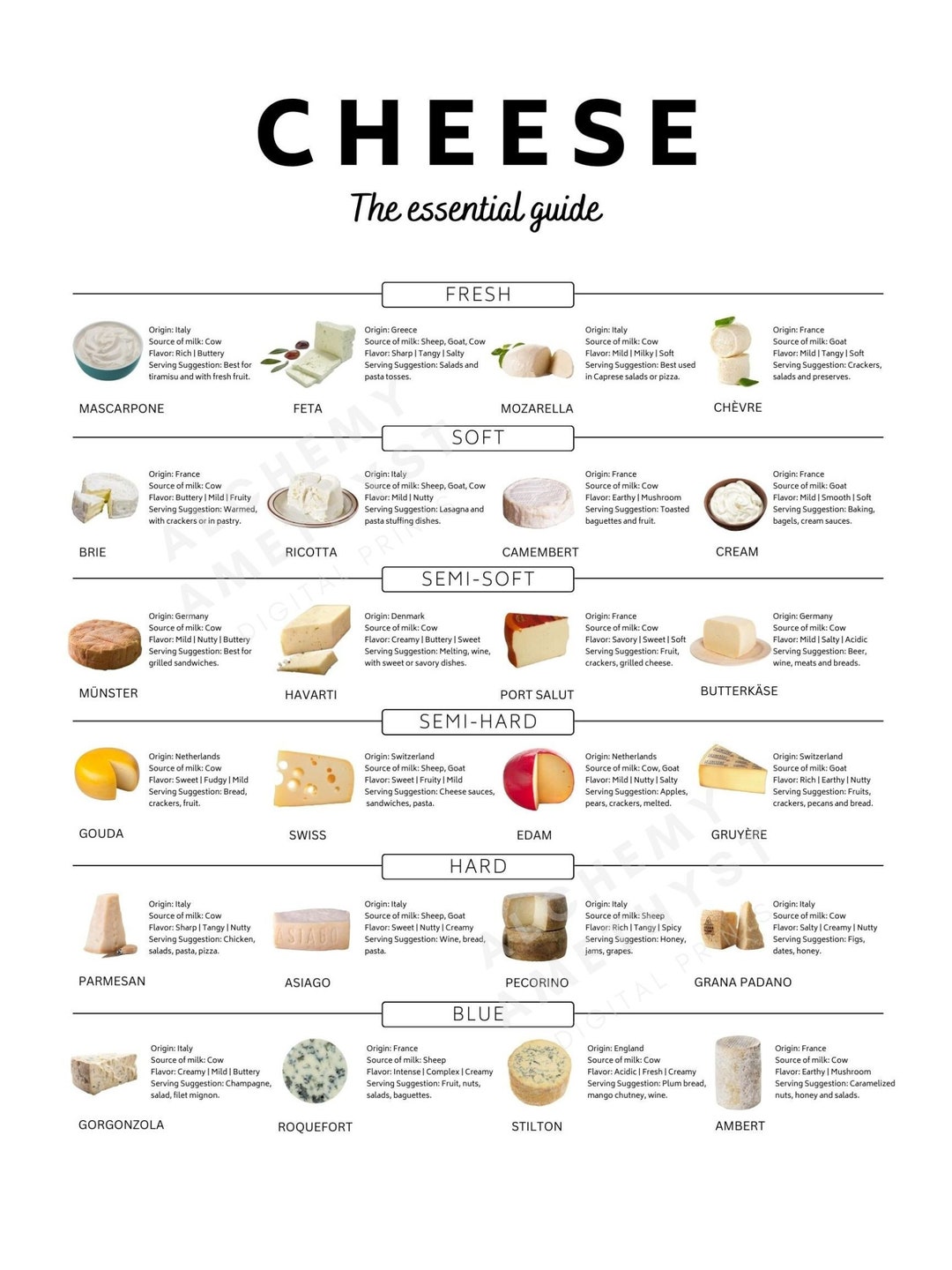 CHEESE - the Essential Guide, Kitchen, (printable Digital Download ...