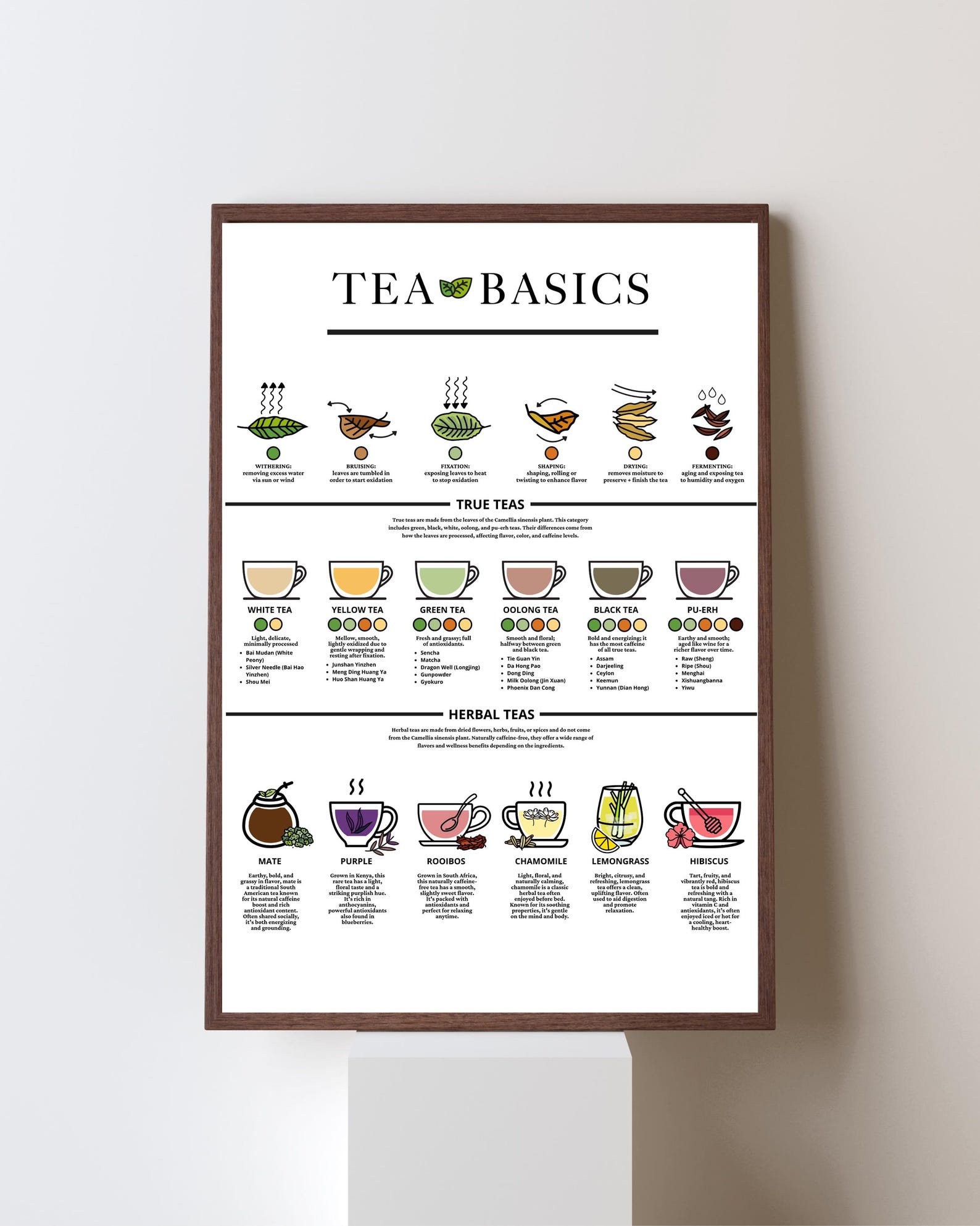 Tea Basics Guide | Tea Types, Leaves & Fermentation | Café Kitchen ...