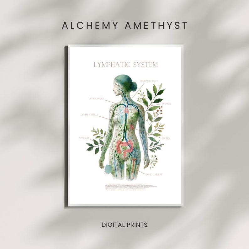 Lymphatic System Art Lymph Nodes Anatomy Art Doctor Gift ...