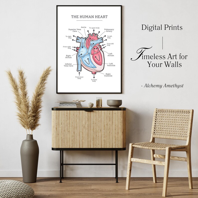 Heart Anatomy Print | Cardiac Diagram Art | Cardiologist & Student Gift ...