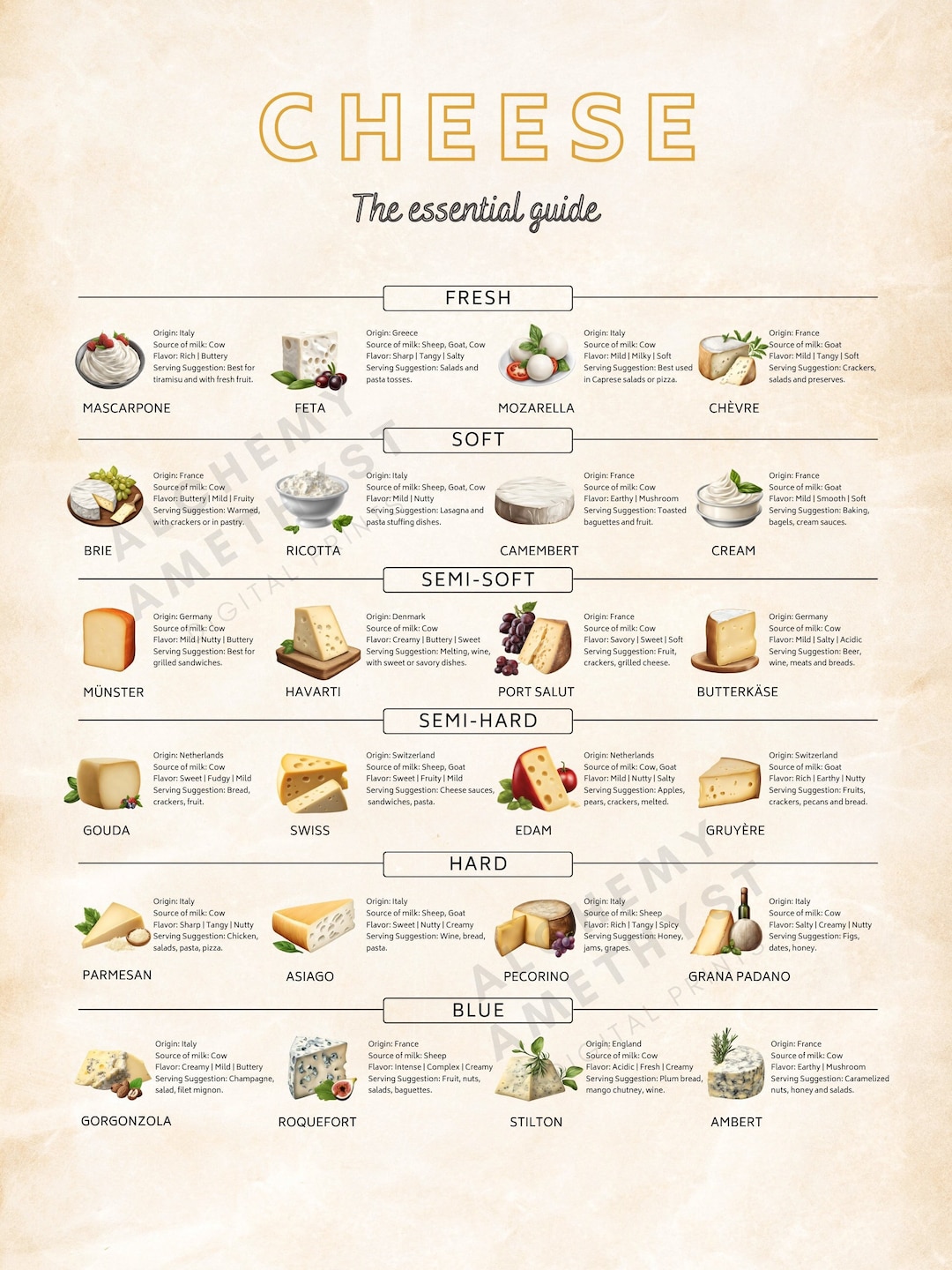 CHEESE - the Essential Guide, Kitchen, Light (printable Digital ...
