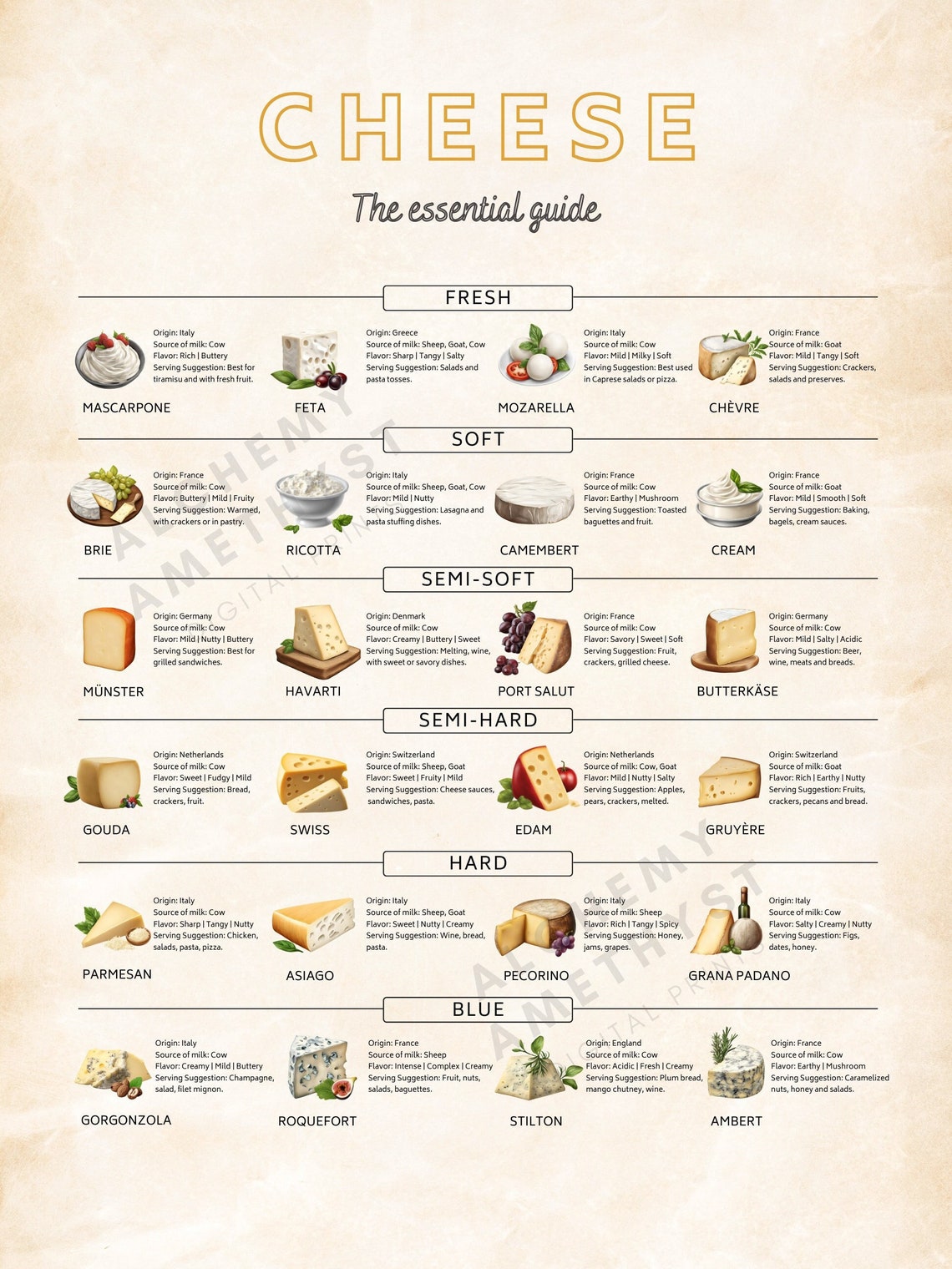 CHEESE - the Essential Guide, Kitchen, Light (printable Digital ...