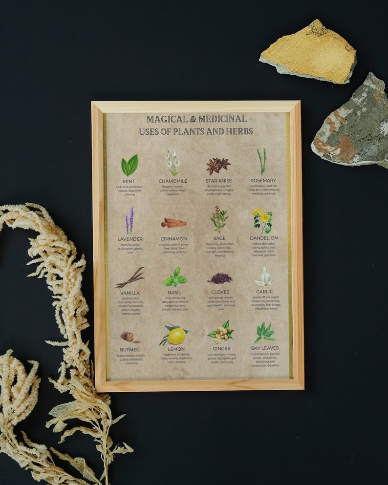Magical & Medicinal Uses of Plants and Herbs (printable Digital ...