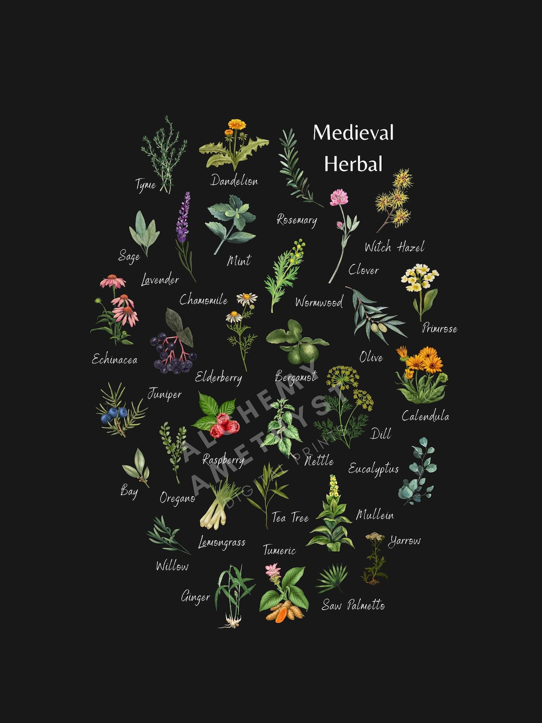 Medieval Herbal - Botanical Print - Magical & Medicinal - Garden ...