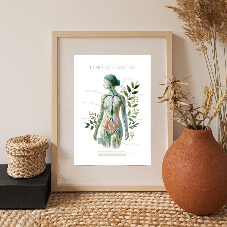 Lymphatic System Art Lymph Nodes Anatomy Art Doctor Gift ...
