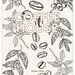 Coffee Essentials & Brewing Guide | Set of 3 | Café | Coffee Lovers ...