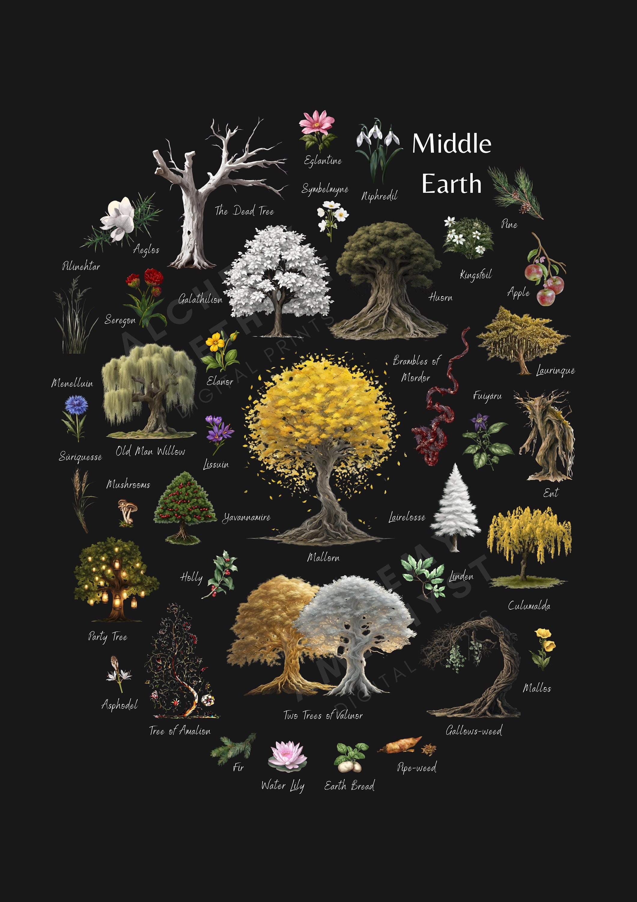 Middle Earth Herbal - Tolkien Inspired - Botanical Plants of the Lord ...