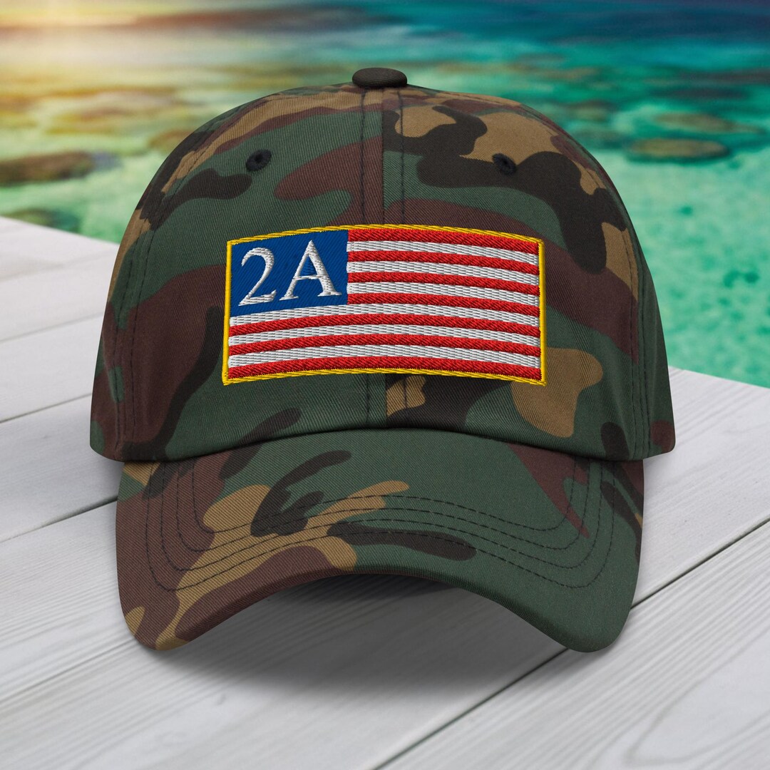 2nd Amendment Hat, Election 2024 Hat, Political Hat, We the People, 2A American Flag Hat ...