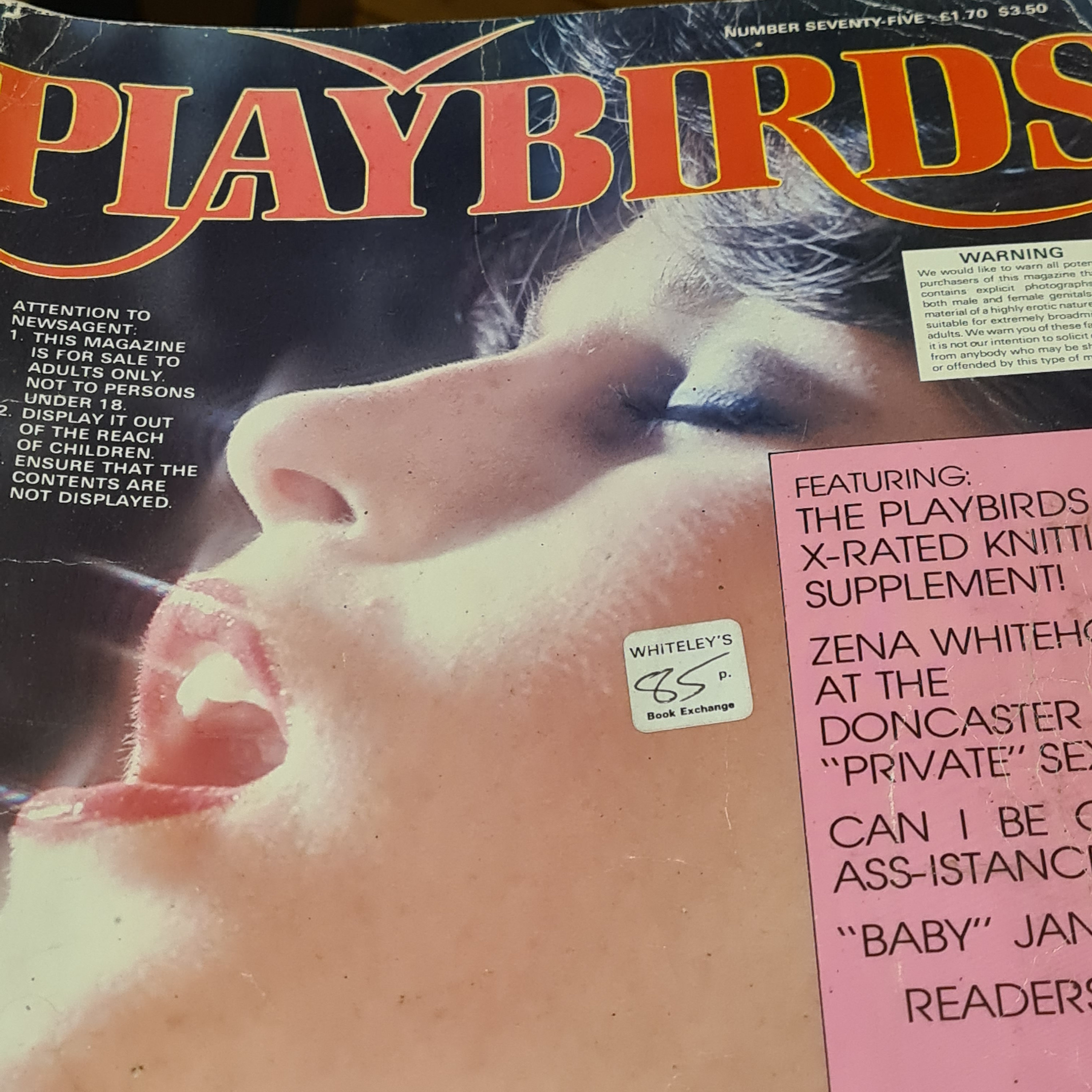 Playbirds No 75 Mens Glamour Magazine 1980s Etsy Uk