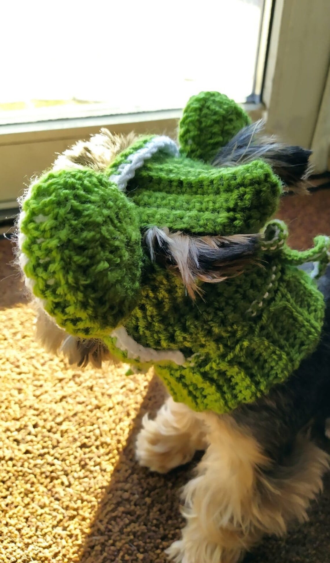Crochet Dog Hat Pattern Frog Hat for Pet Pattern Crochet Cat - Etsy