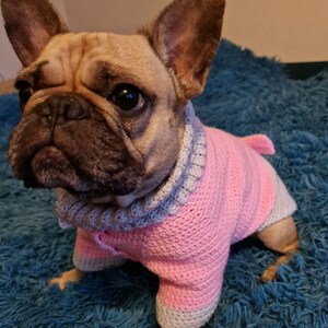 Sweater for French Bulldog, Crochet Pattern, French Bulldog Coat, Dog ...