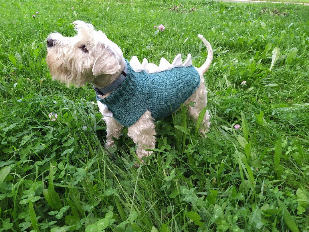 Dog Sweater for Large Dogs, Crochet Pattern, Big Dog Clothing, Funny ...