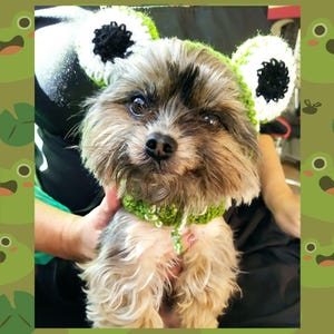 Funny Dog Halloween Costumes, Crochet Pattern, Frog Hat for Cat, Dog ...