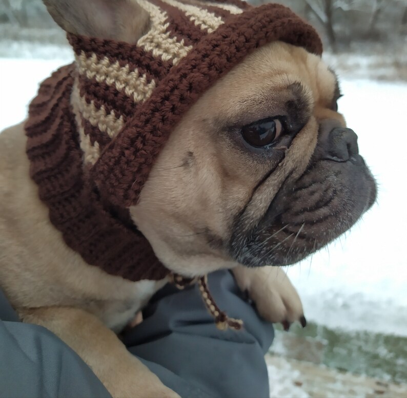 Crochet French Bulldog Sweater and Hat Patterns. Crochet Hat Pattern ...