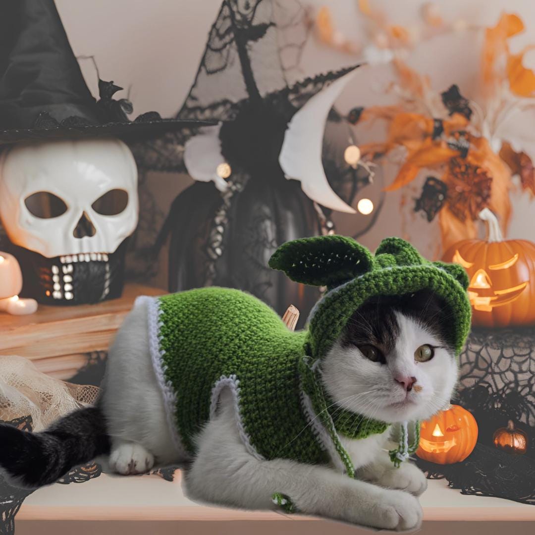 Cat Sweater Pattern, Cat Costumes Halloween, Cat Hat, Sphynx Cat ...