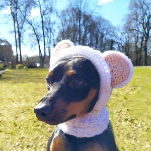 Dog Hat, Crochet Pattern, Bucket Hat for Dogs, Dog Winter Hats, Cats in ...