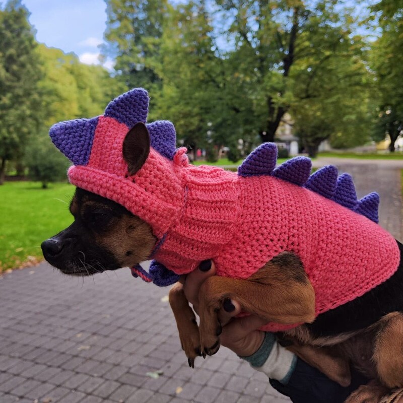 Medieval Crochet Costume - Etsy