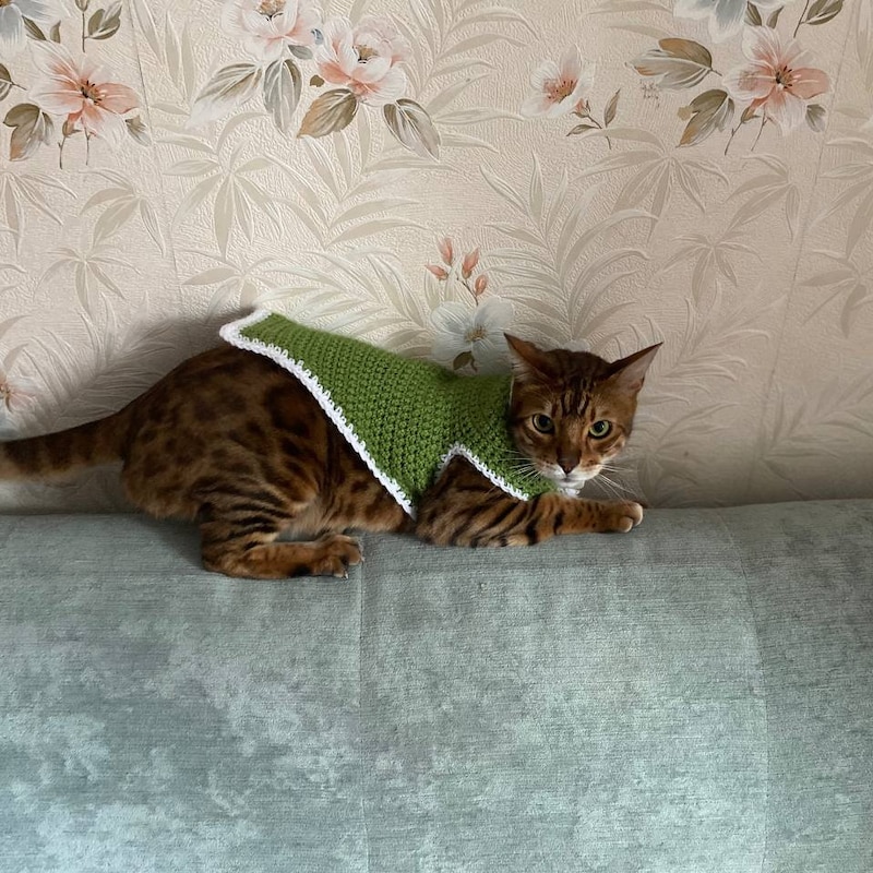 Plus Size Cat Coats - Etsy UK