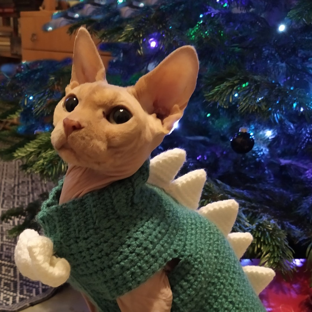 Crochet Pattern for Cat, Sphynx Cat Clothes, Small Dog Sweater, Dog ...