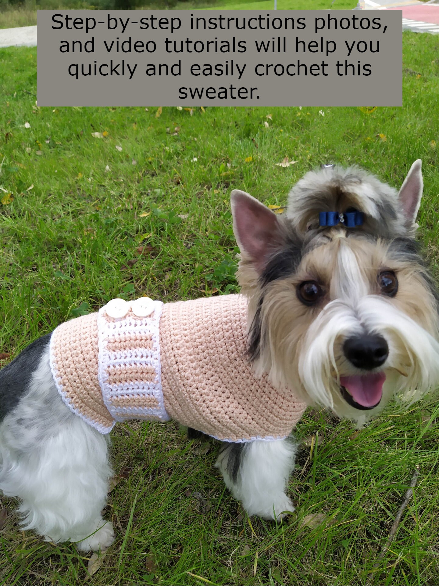 Cat Sweater, Crochet Pattern, Sphynx Cat Clothes, Crochet Pattern for ...