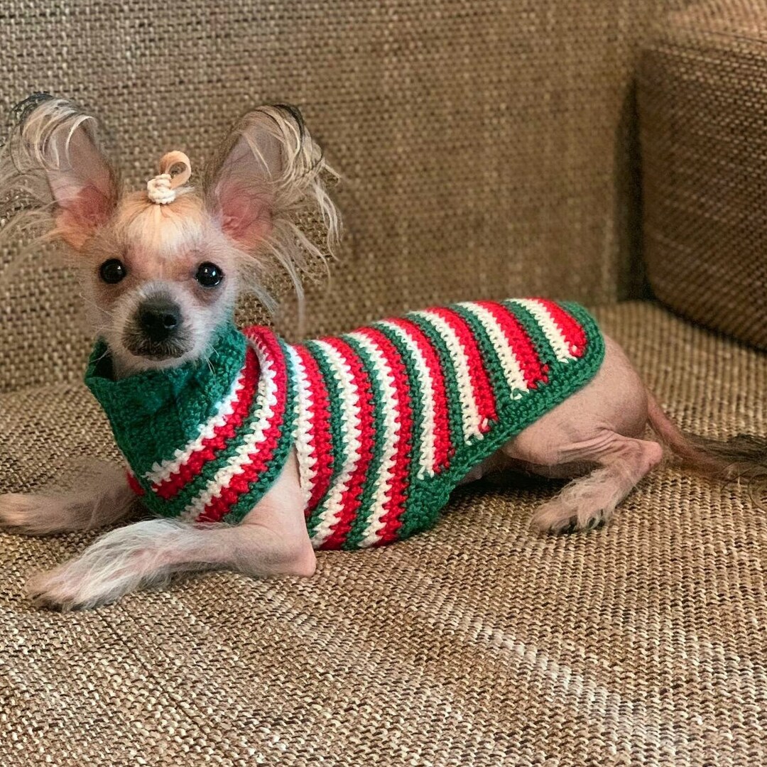 Christmas Sweaters for Dogs, Crochet Patterns for Dog Sweaters, Dog ...