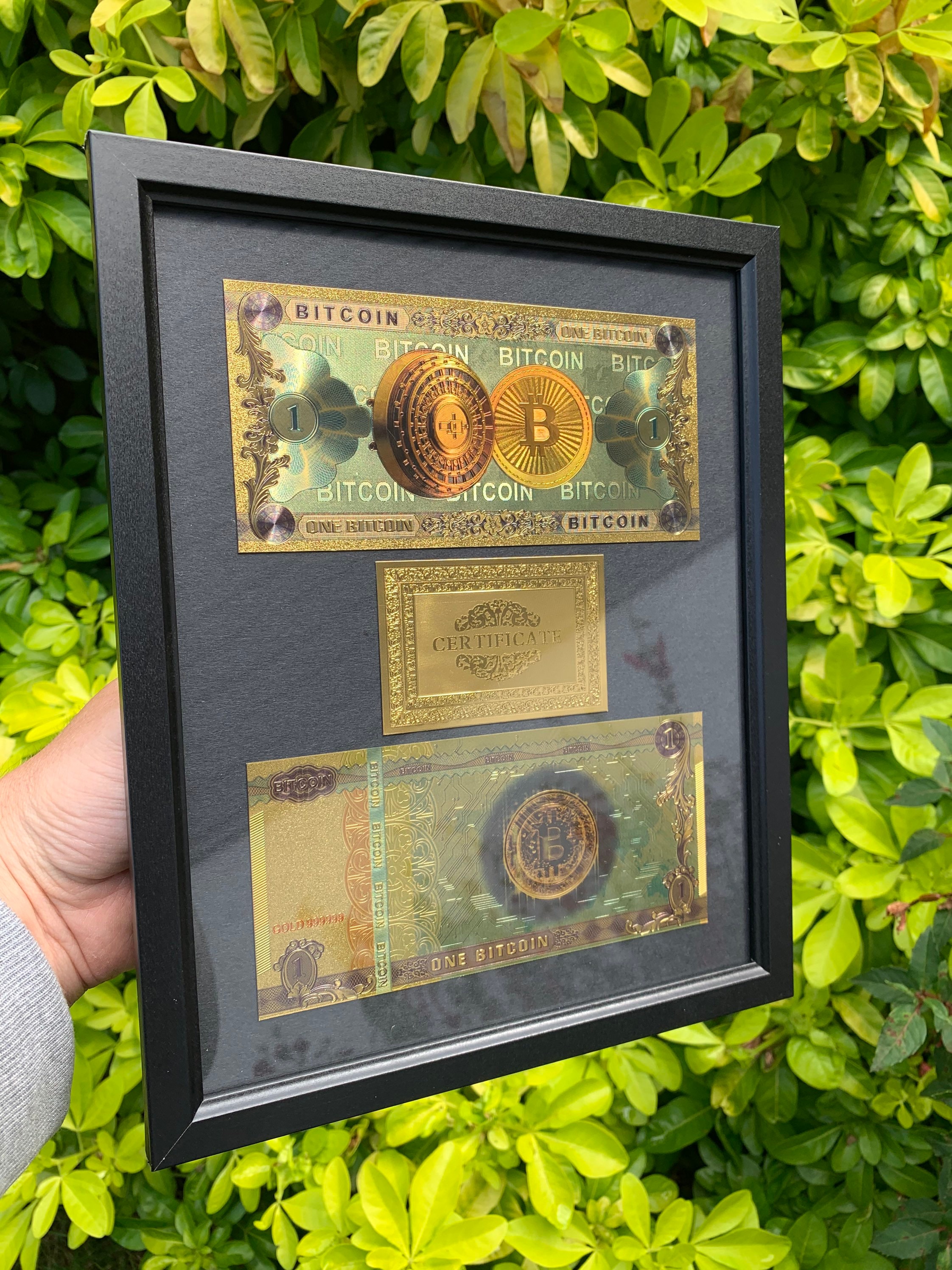 Bitcoin Cryptocurrency Gold Bank Note and Certificate of | Etsy