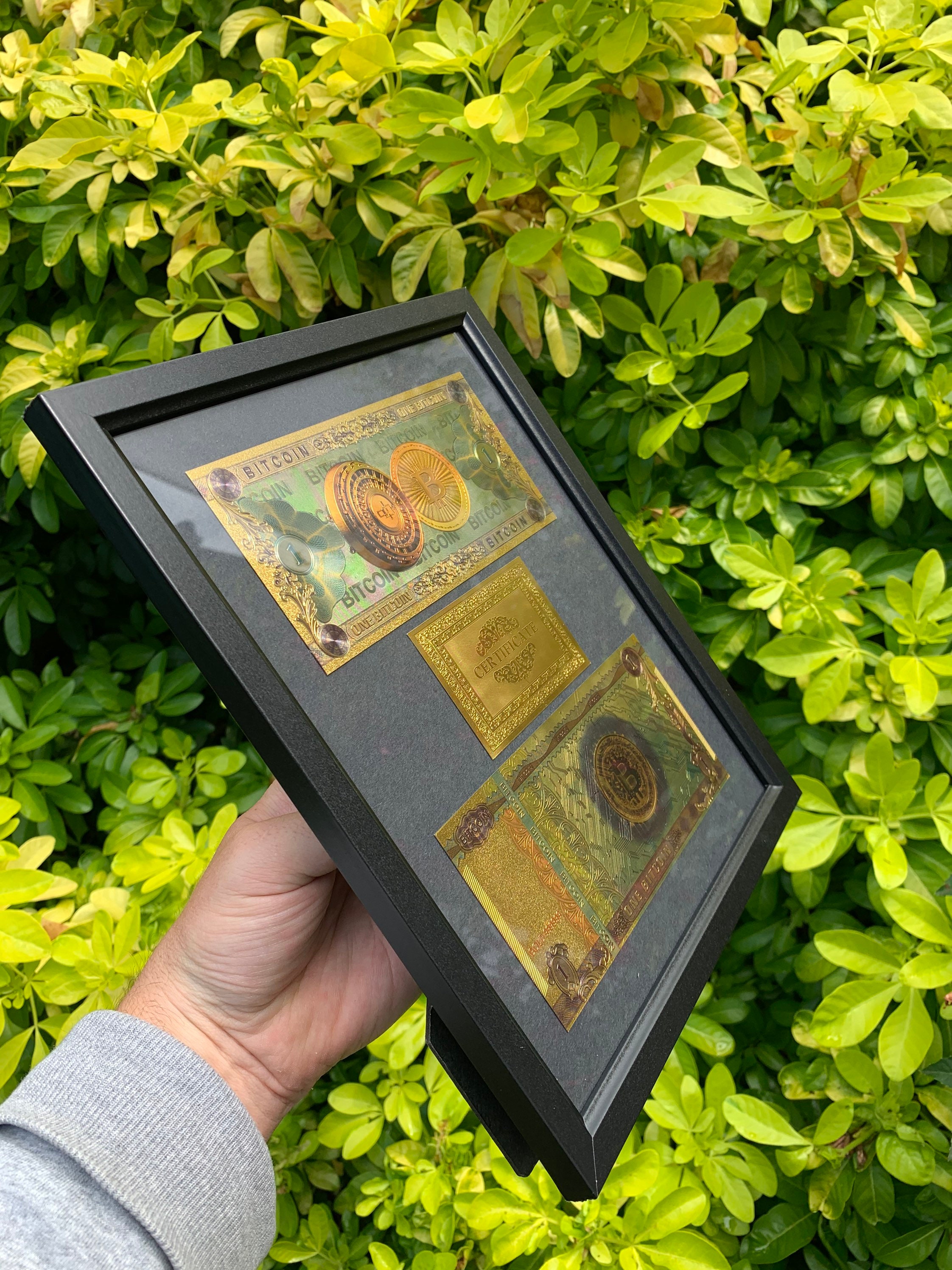 Bitcoin Cryptocurrency Gold Bank Note and Certificate of | Etsy