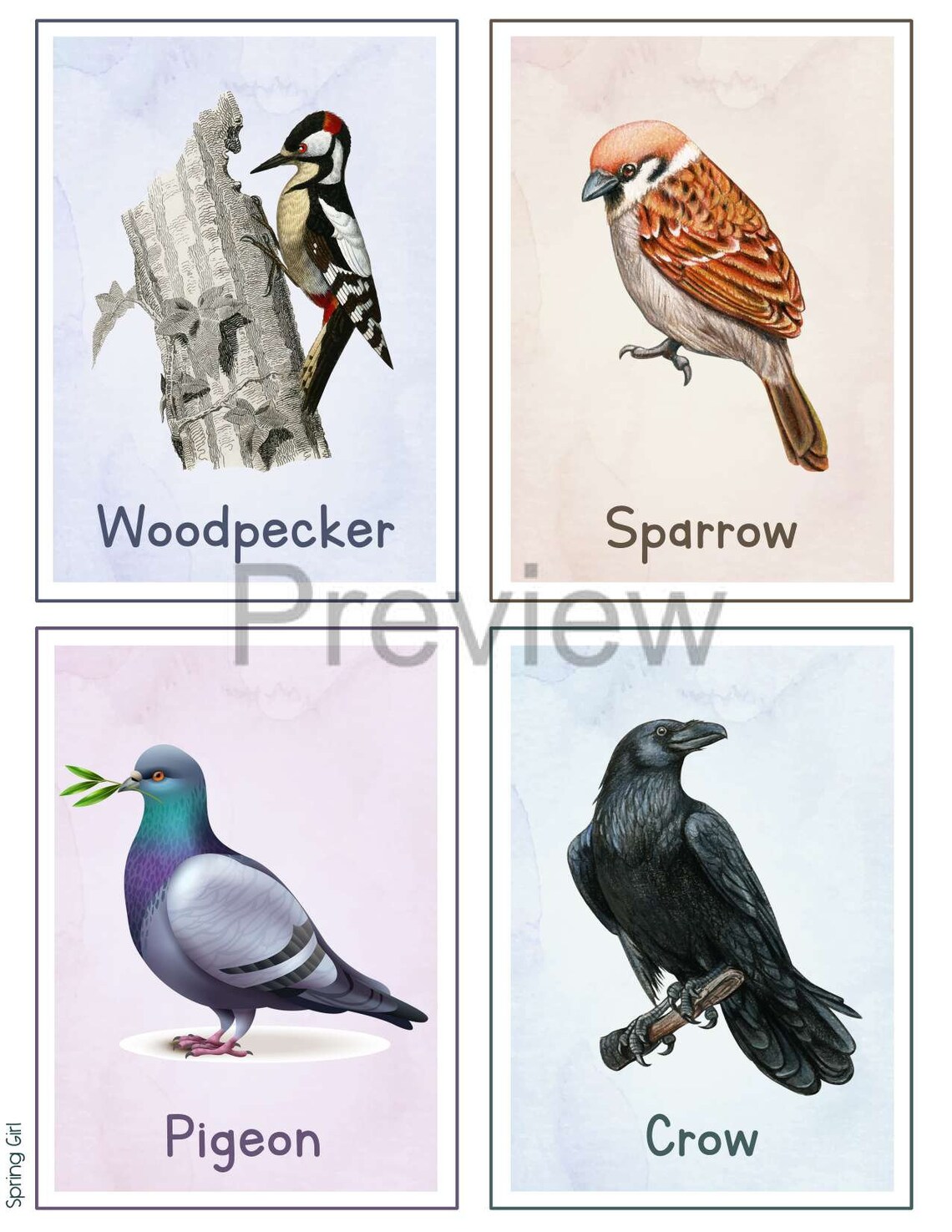 Birds Flash Cards Printable Montessori Cards Nomenclature Cards Nature ...