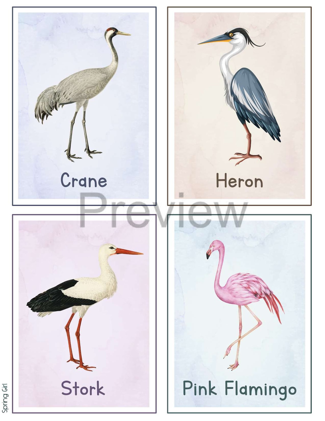 Birds Flash Cards Printable • Montessori Cards • Nomenclature Cards ...