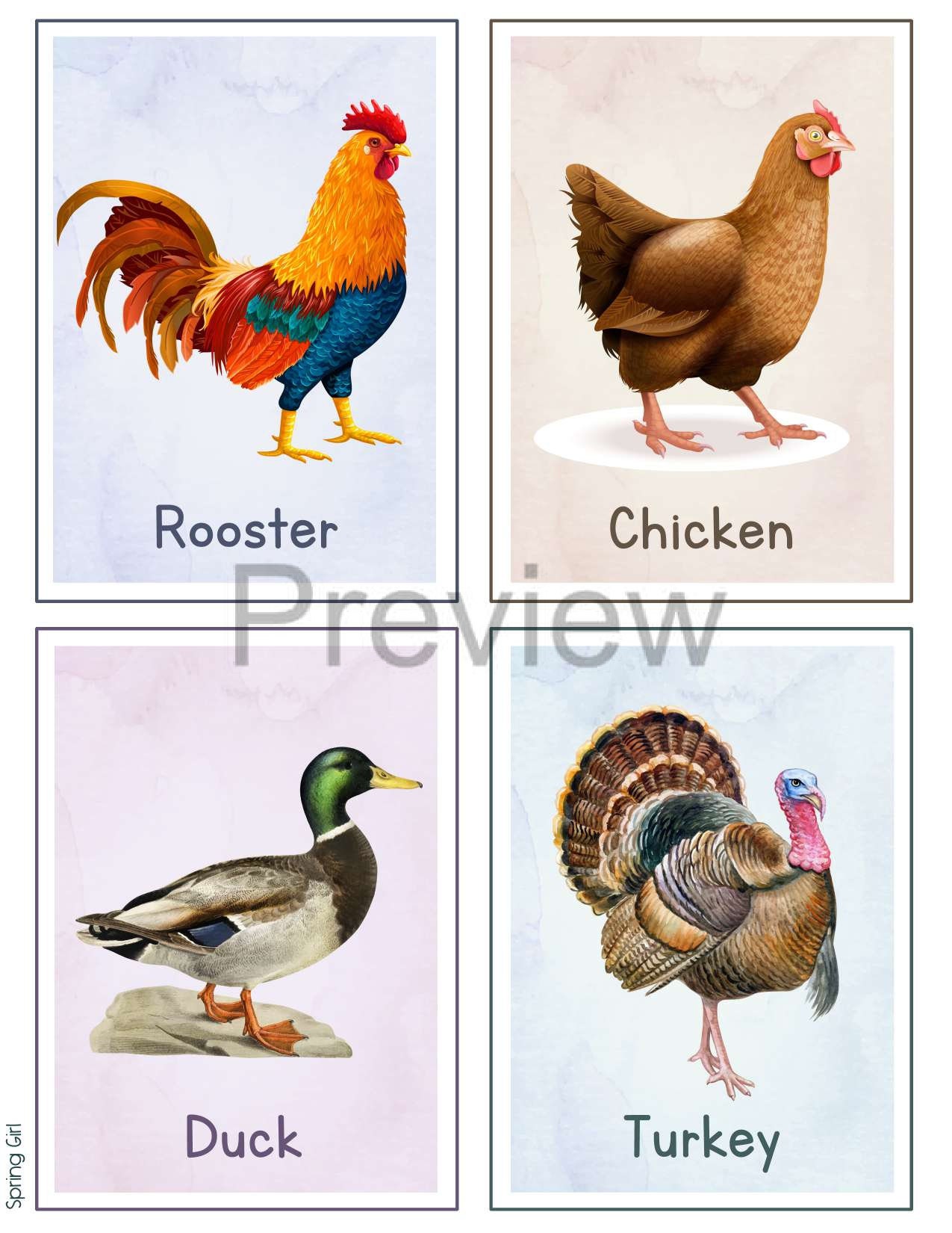 Birds Flash Cards Printable • Montessori Cards • Nomenclature Cards ...