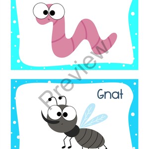 Bugs Printable Flash Cards | Insects Instant Download Flashcards | PDF ...