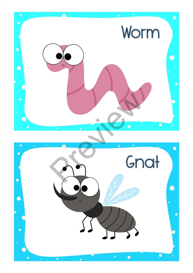 Bugs Printable Flash Cards | Insects Instant Download Flashcards | PDF ...