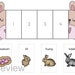 Life Cycle of a Rabbit All About Rabbits Science Unit - Etsy