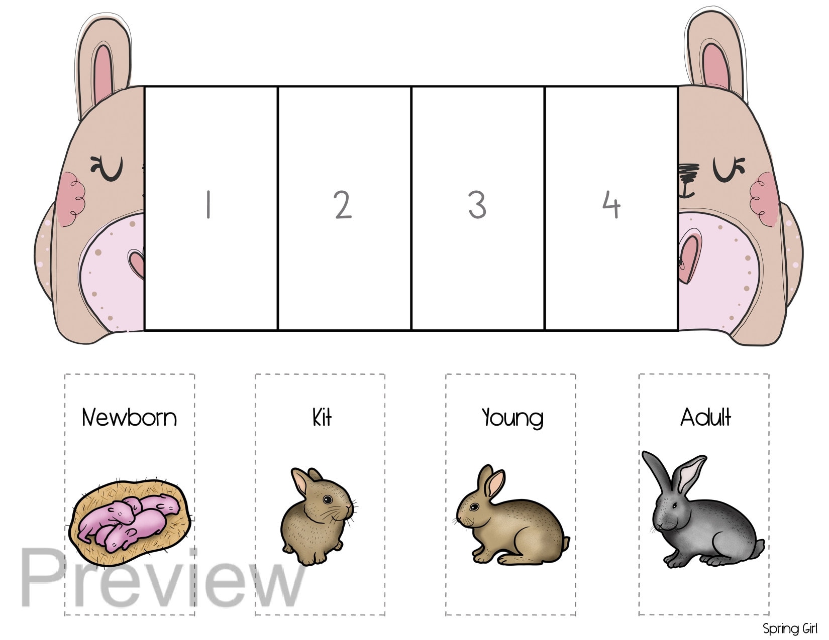 Life Cycle of a Rabbit | All About Rabbits Science Unit | Foldable Kids ...