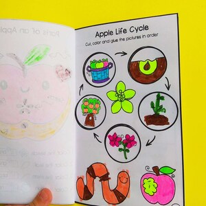 Apple Life Cycle Mini Book | Apple Day Lesson Unit | Apple Unit Study ...