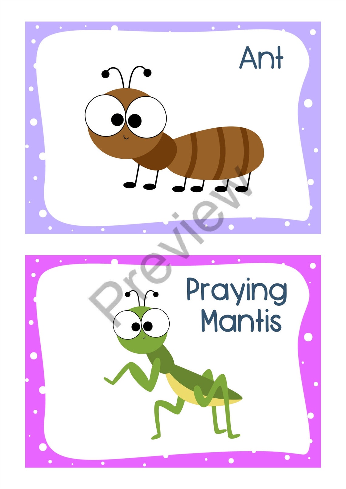 Bugs Printable Flash Cards | Insects Instant Download Flashcards | PDF ...