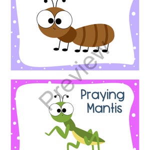 Bugs Printable Flash Cards | Insects Instant Download Flashcards | PDF ...