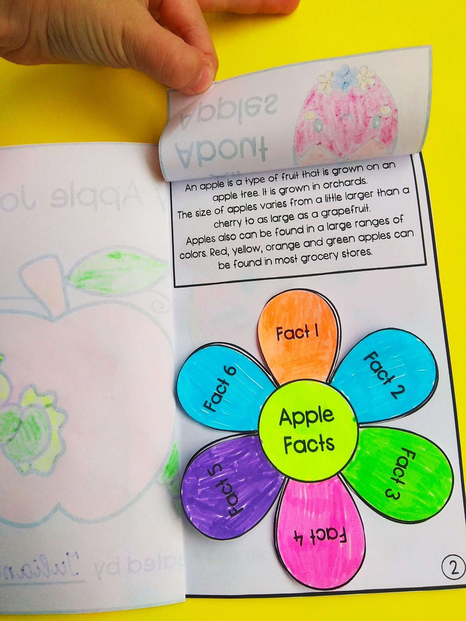 Apple Life Cycle Mini Book Apple Day Lesson Unit Apple Unit Study Fall ...