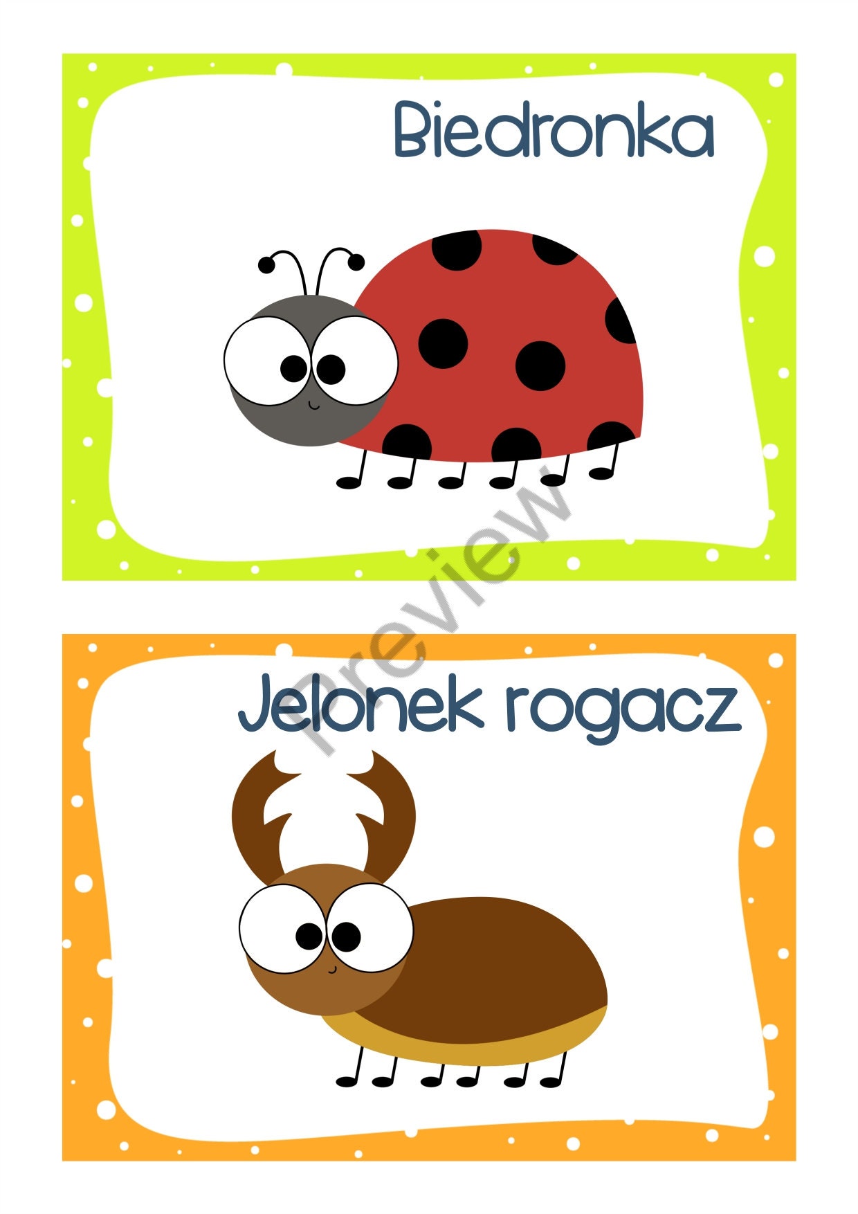 Polish Bugs Flash Cards | Owady Po-polsku | Polish Insects Printable ...