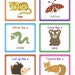Animal Movement Cards | Brain Break Movement Cards for Kids | Fitness ...