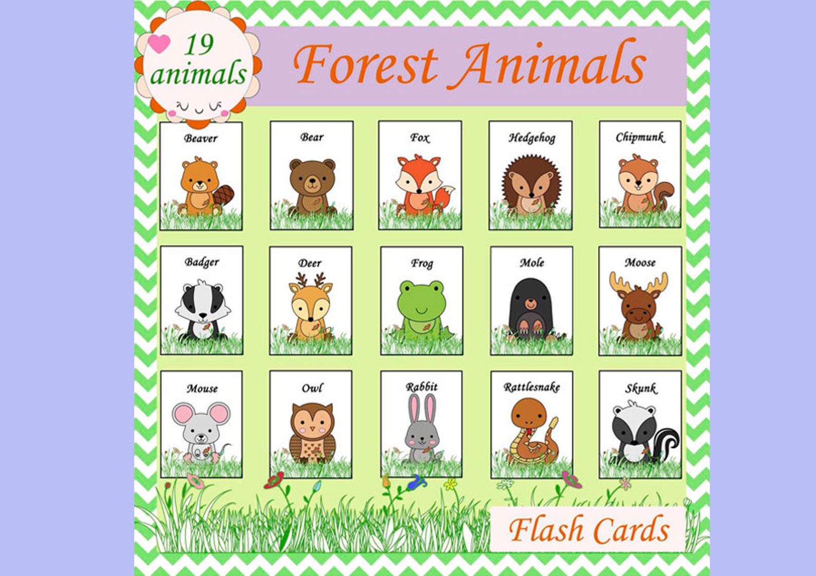 Forest/woodland Animals Flash Cards - Etsy
