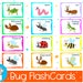 Bugs Printable Flash Cards Insects Instant Download Flashcards PDF File ...