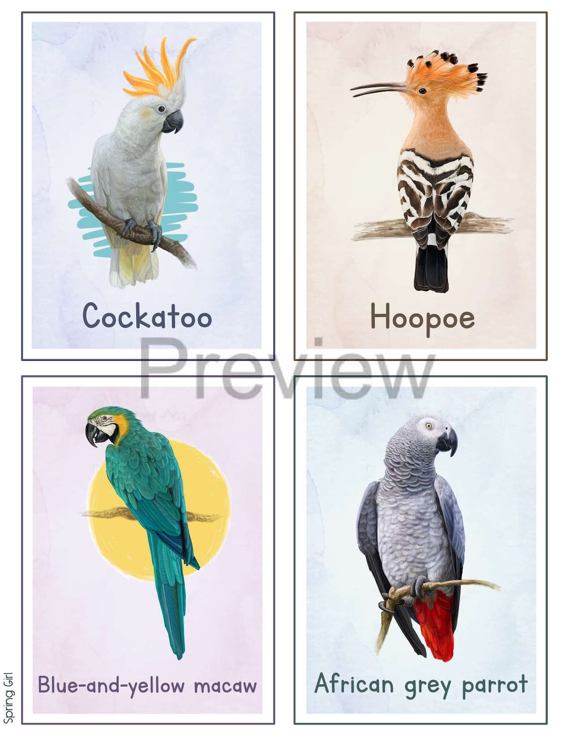 Birds Flash Cards Printable Montessori Cards Nomenclature Cards Nature ...