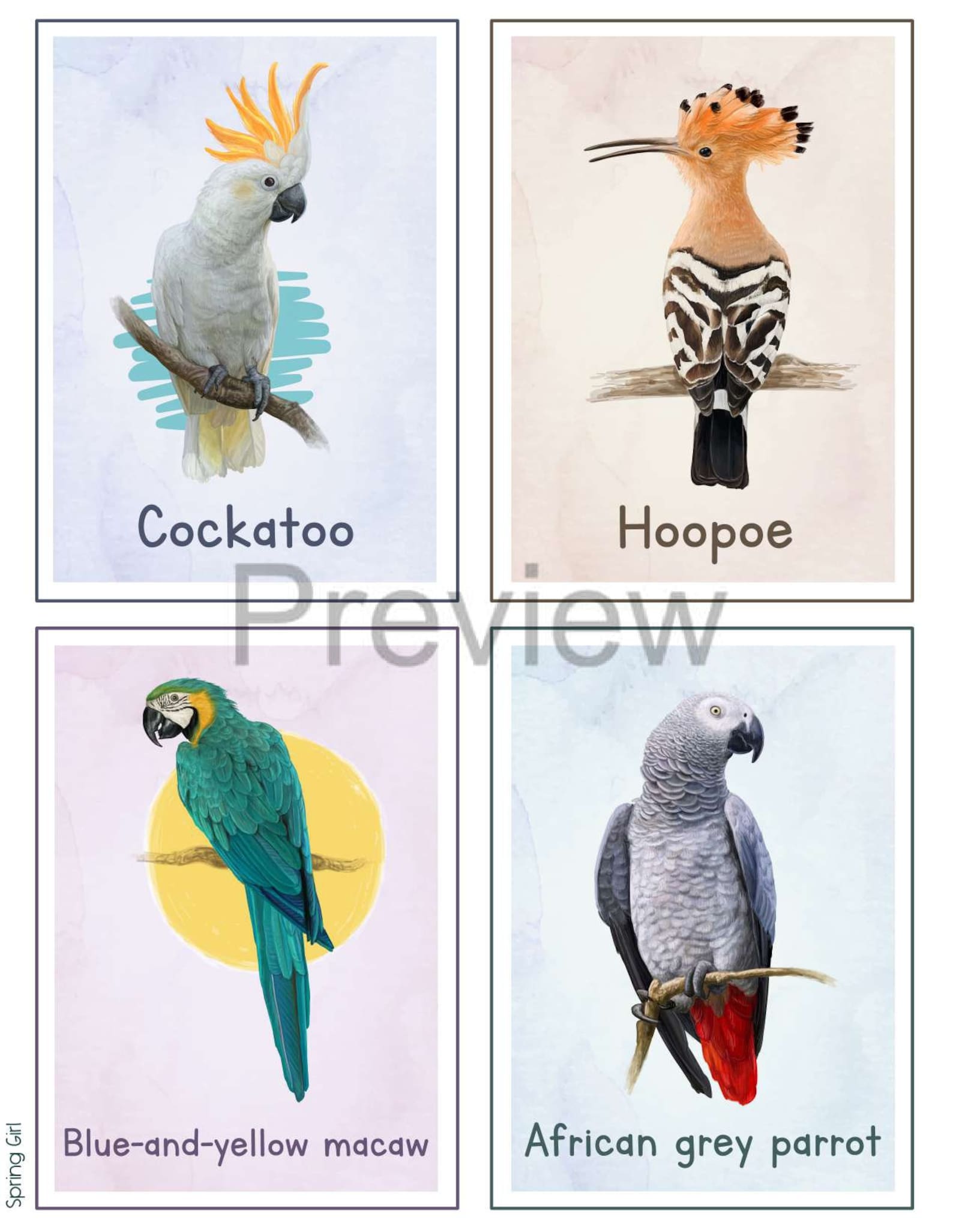 Birds Flash Cards Printable Montessori Cards Nomenclature Cards Nature ...