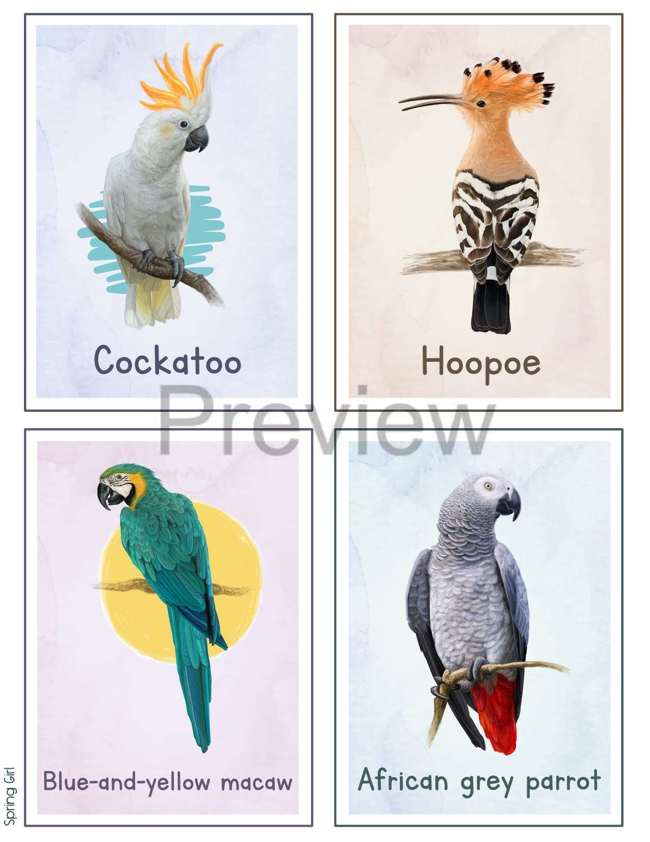 Birds Flash Cards Printable • Montessori Cards • Nomenclature Cards ...