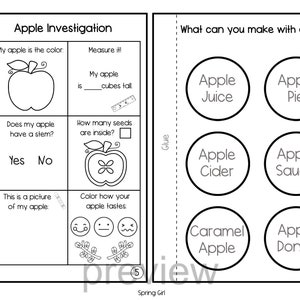 Apple Life Cycle Mini Book | Apple Day Lesson Unit | Apple Unit Study ...