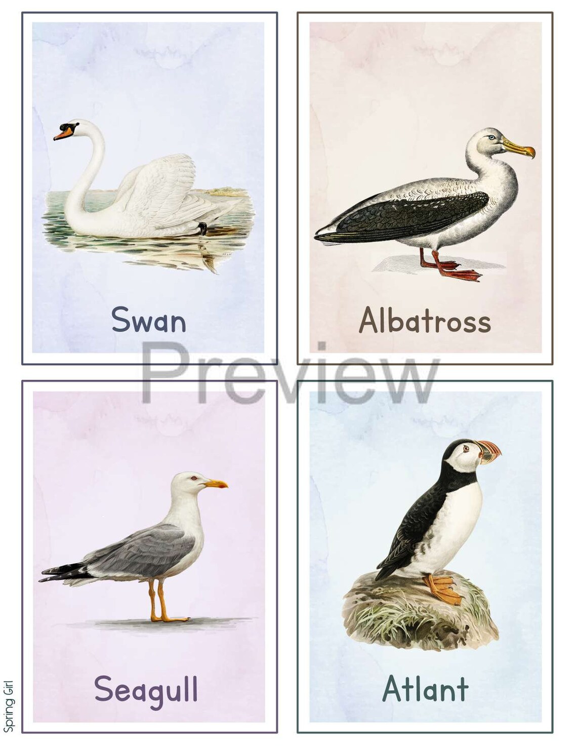 Birds Flash Cards Printable Montessori Cards Nomenclature Cards Nature ...