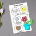 Life Cycle of a Plant | Parts of a Plant | Plant Activity Unit ...
