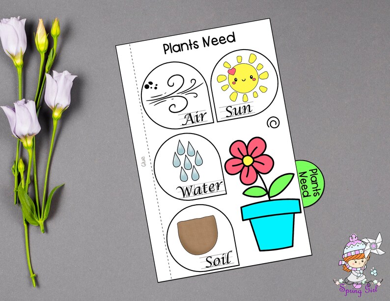 Life Cycle of a Plant | Parts of a Plant | Plant Activity Unit ...